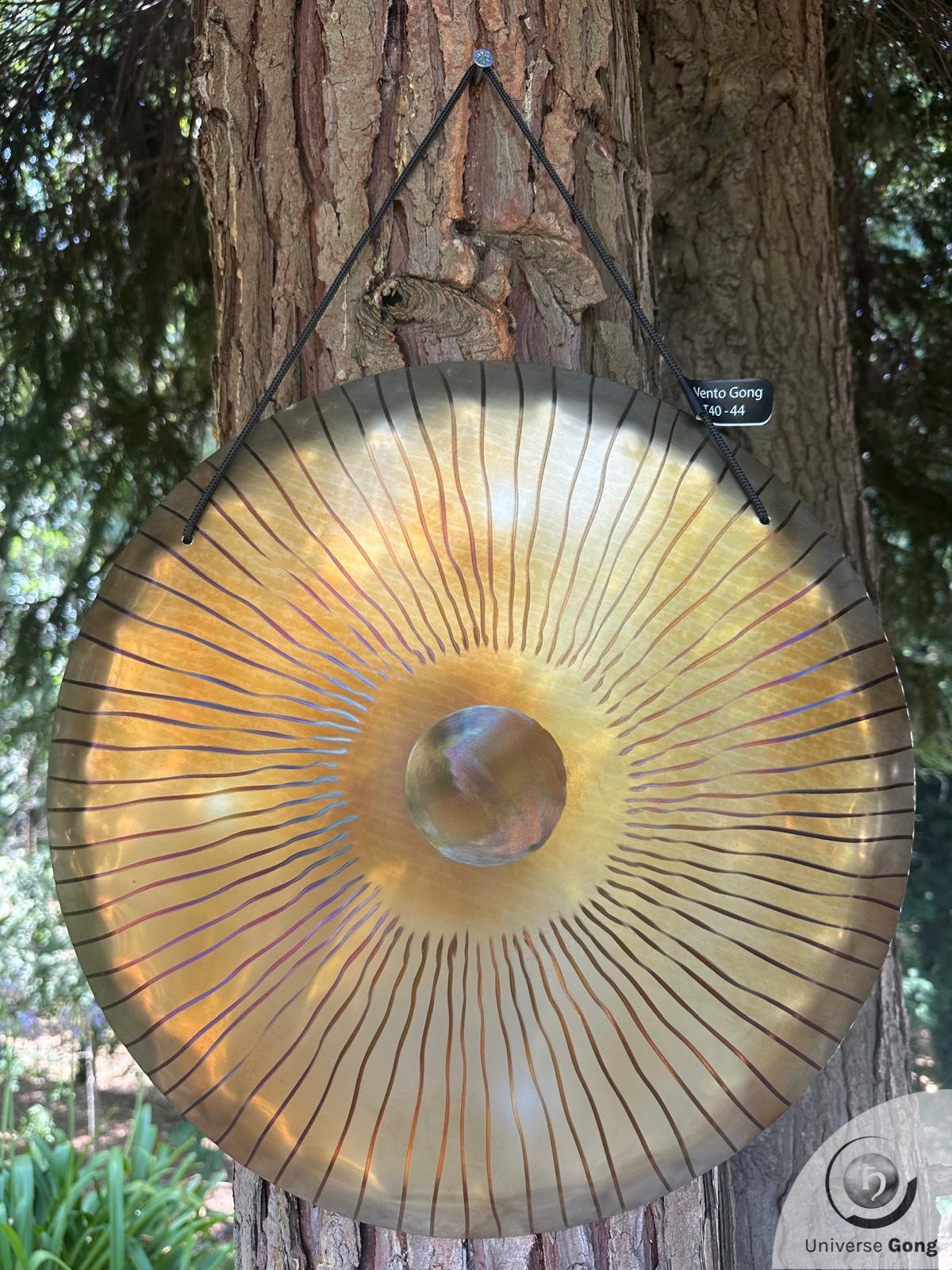 Universe Gong®